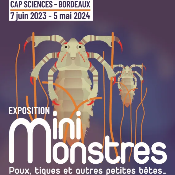 Bordeaux CityPass | Visit Bordeaux